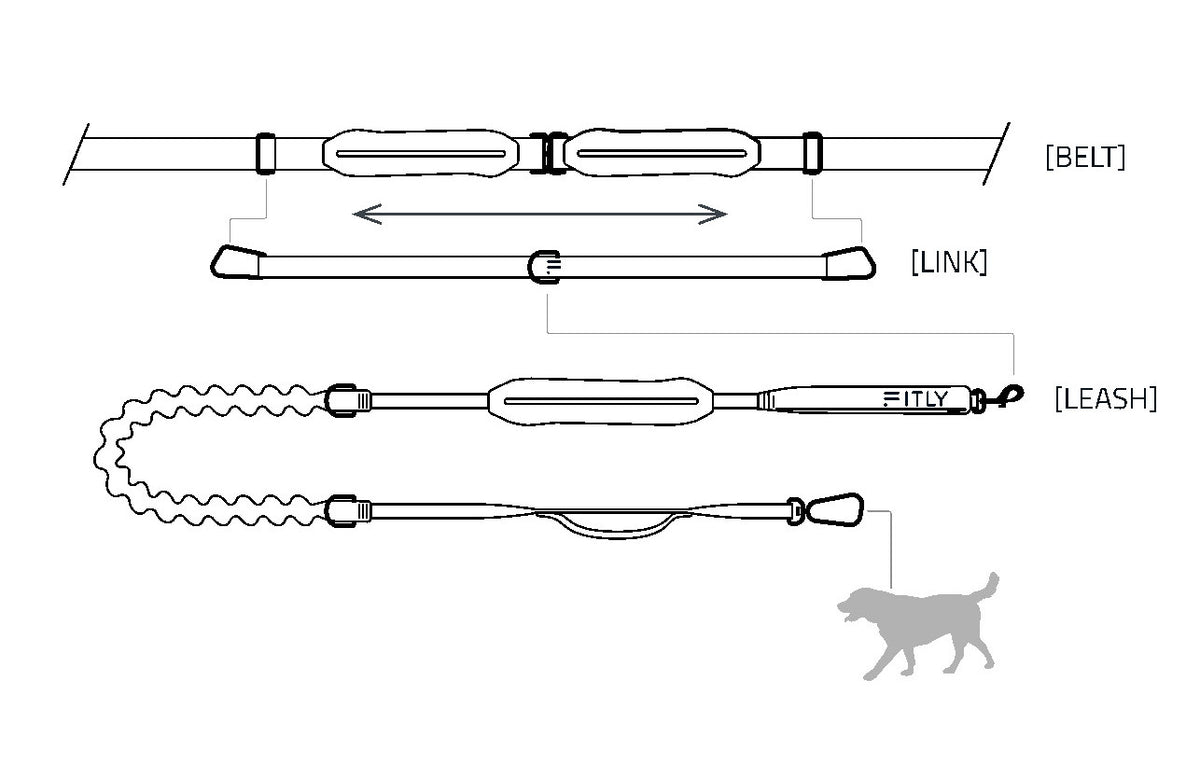 Running Belt + Leash - FITLY